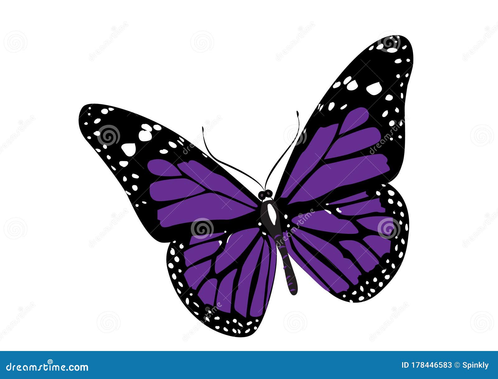 Butterfly Vector Illustration For Design Layouts | CartoonDealer.com ...