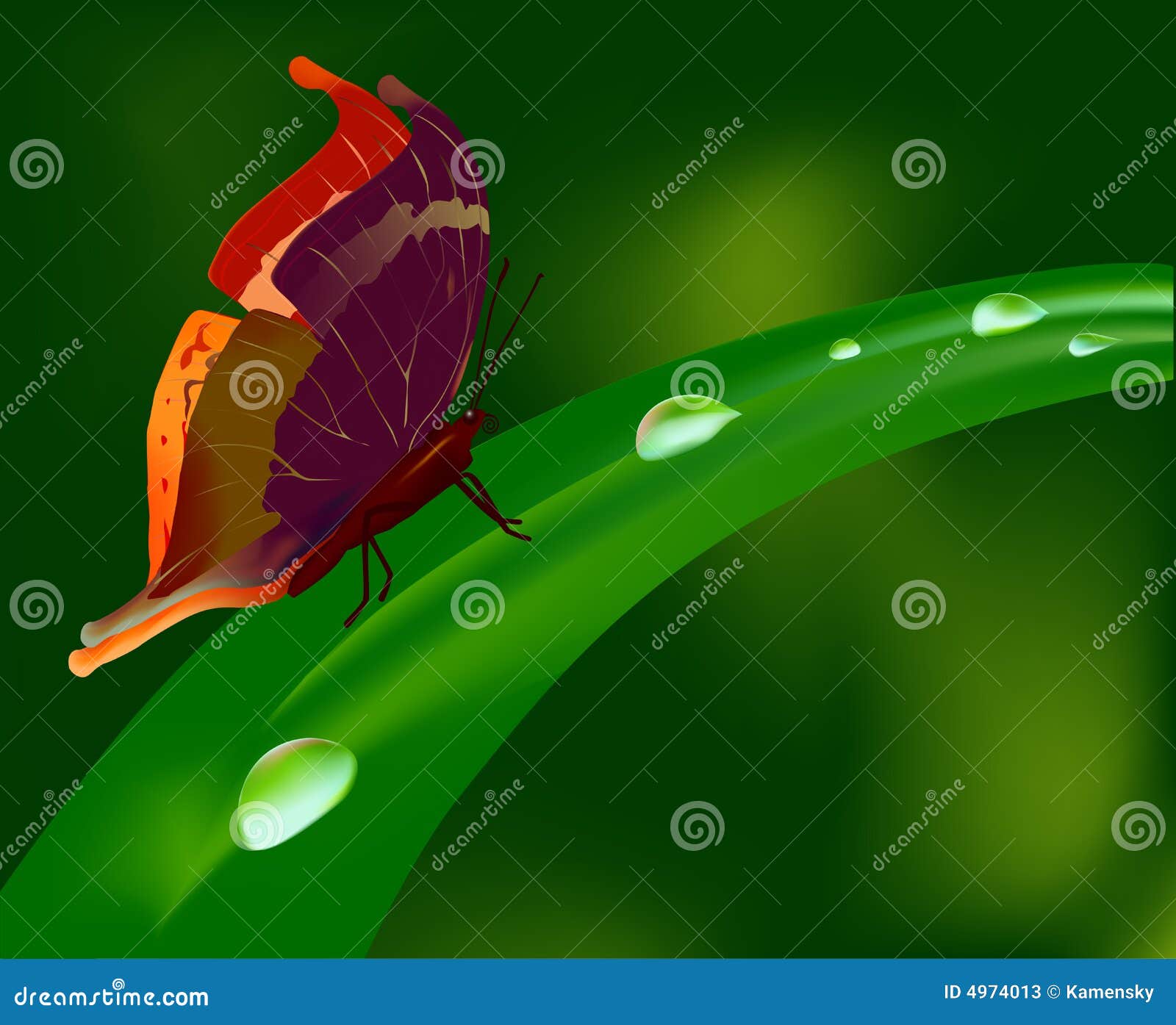 Butterfly and waterdrop stock vector. Illustration of bubble - 4974013