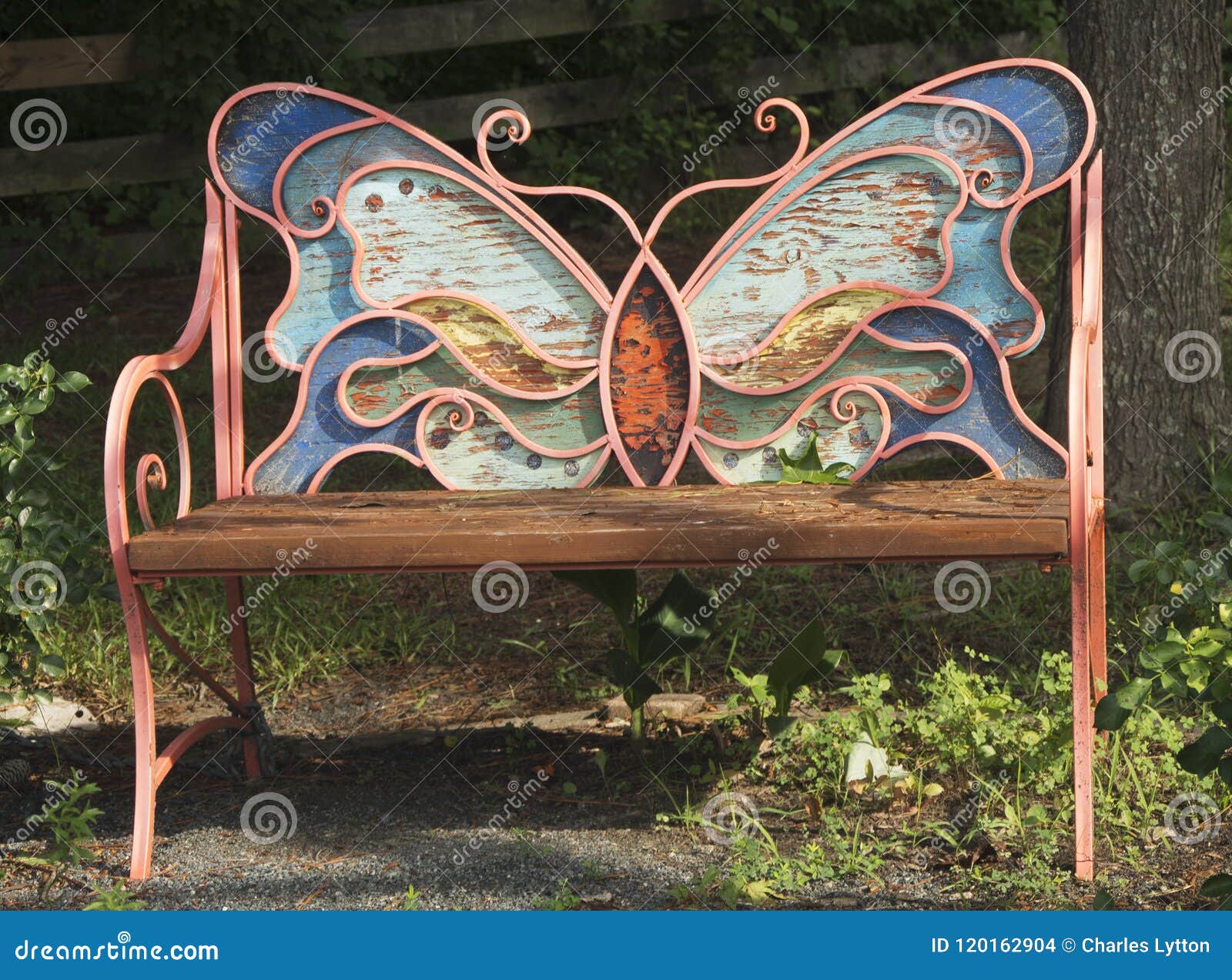 Butterfly Wing Resting Bench Stock Photo - Image of virginia, butterfly ...