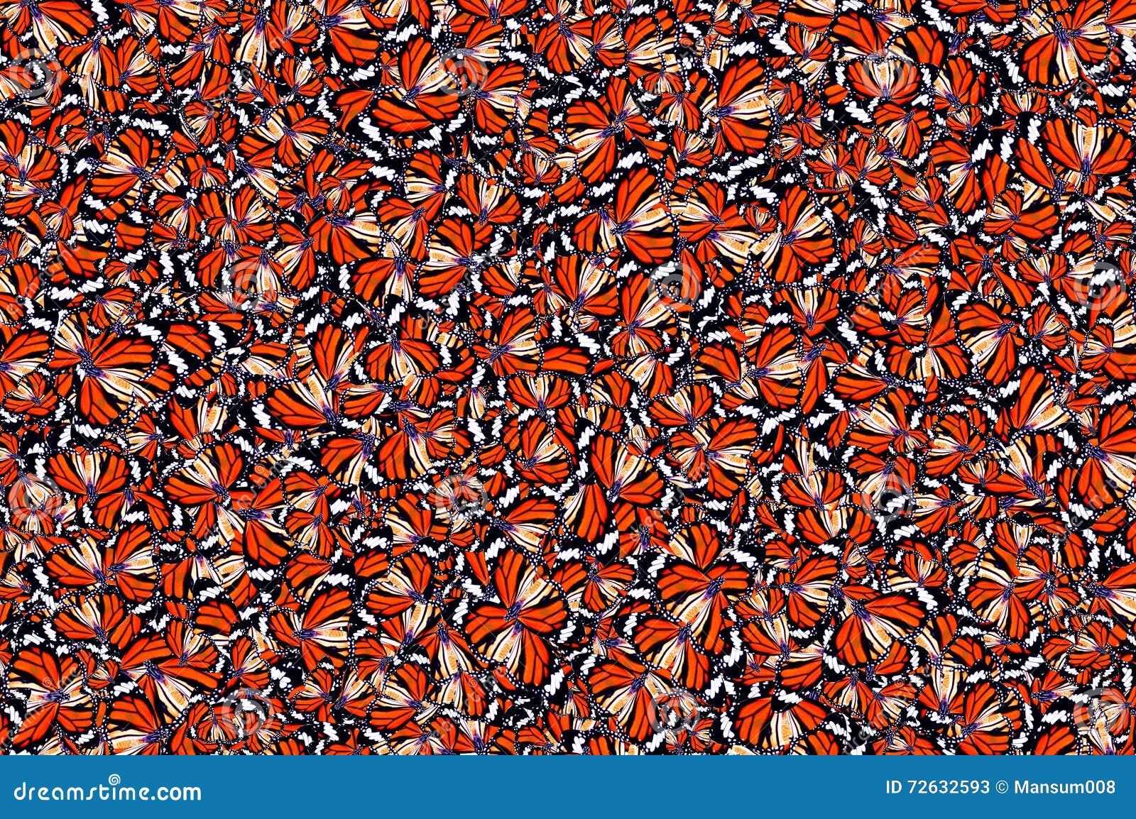 Butterfly Wings Pattern Background Stock Image - Image of pattern ...