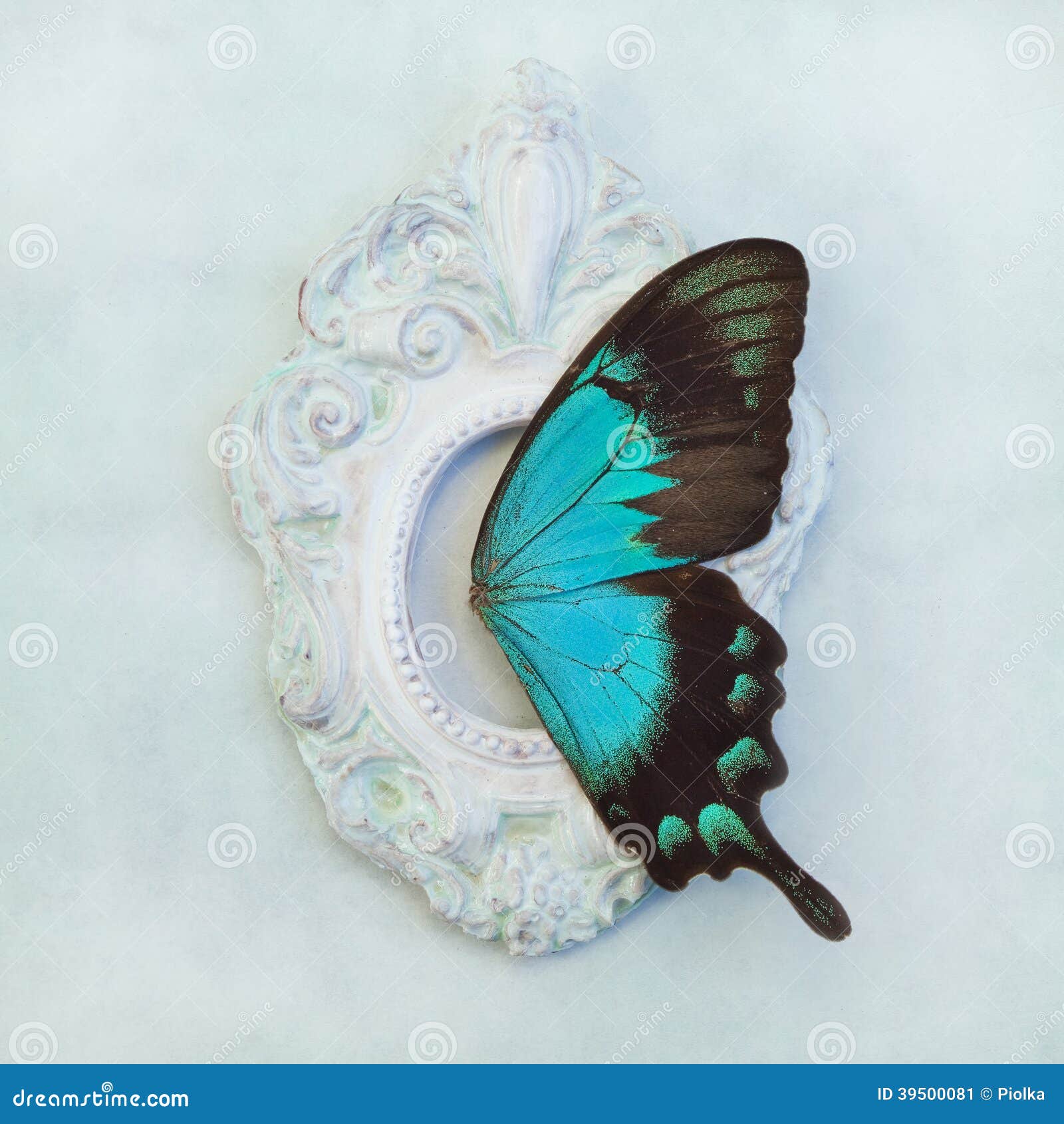 1,115 Blue Butterfly Frame Design Photos - Free & Royalty-Free Stock ...