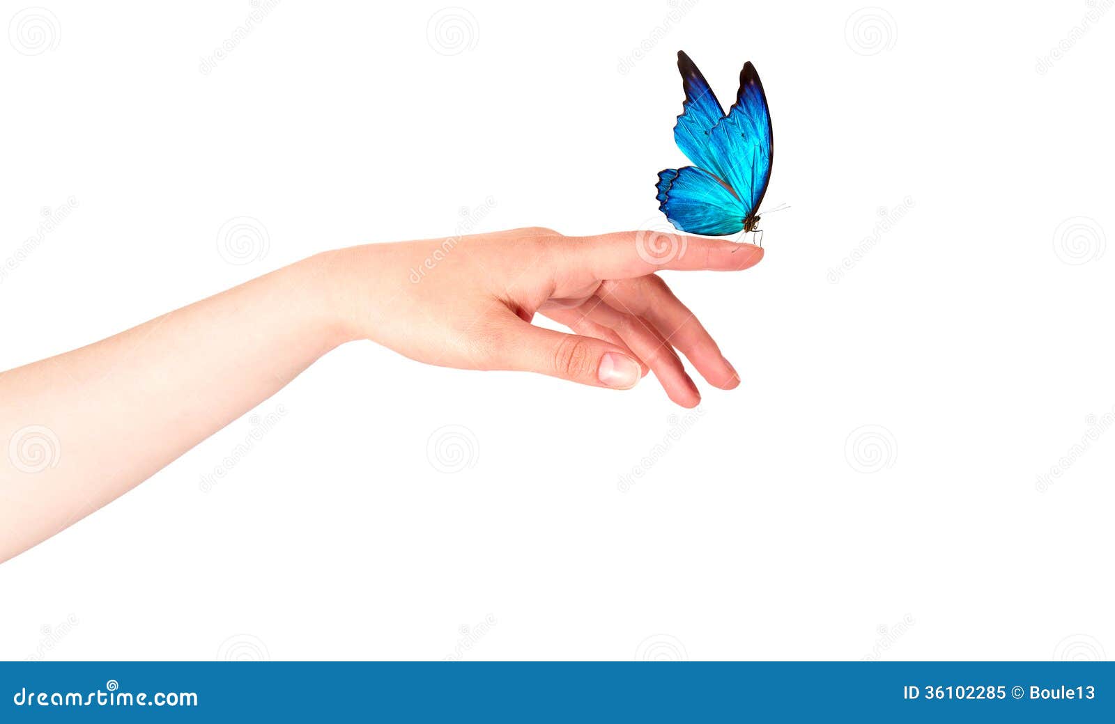 Butterfly on Woman S Hand. in Motion Stock Image - Image of freedom ...