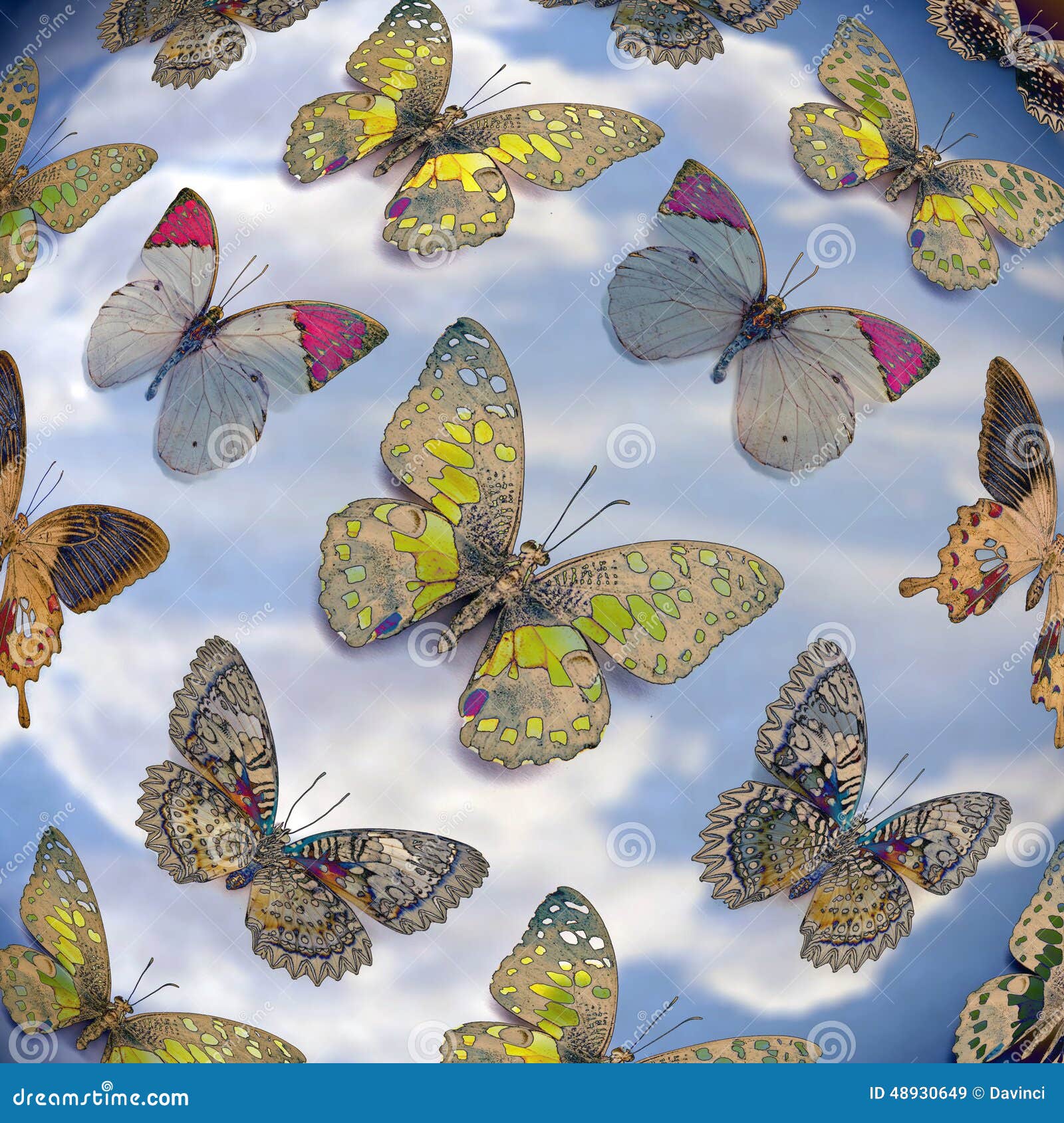 Butterflys stock illustration. Illustration of natural - 48930649