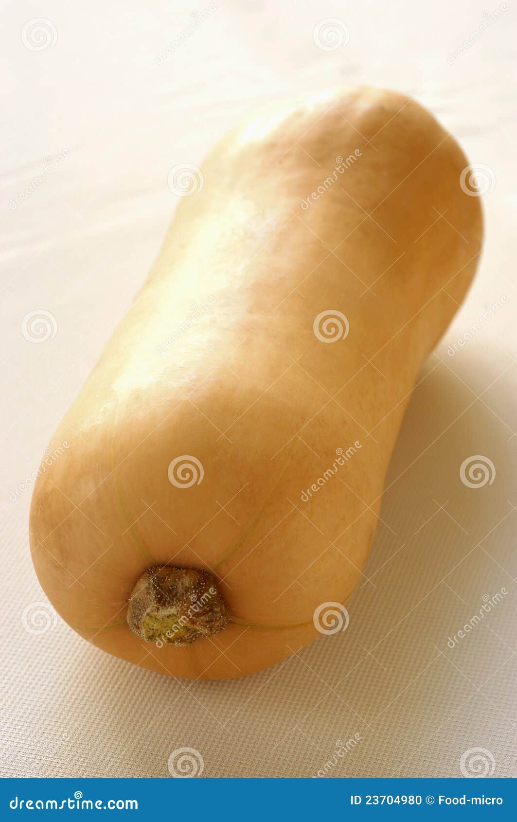 Butternut pumpkin stock photo. Image of vegetables, pumpkin - 23704980