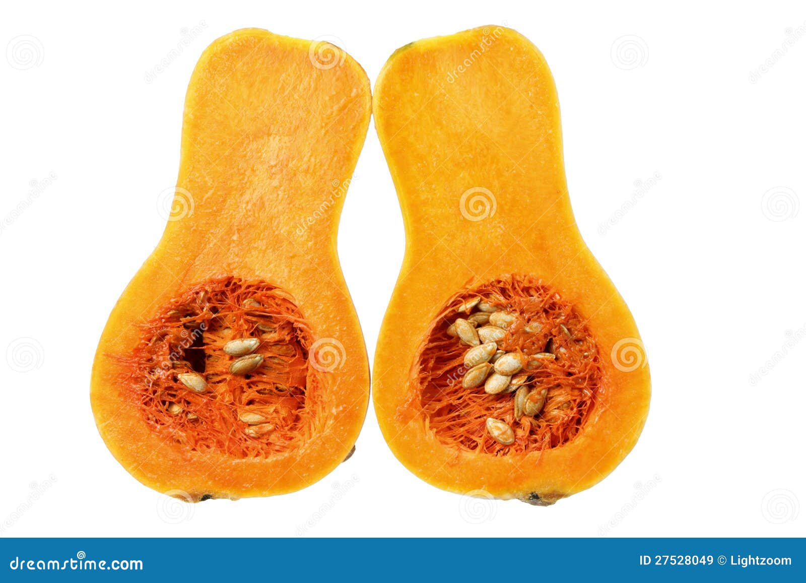 Butternut Pumpkin stock image. Image of fresh, seeds - 27528049