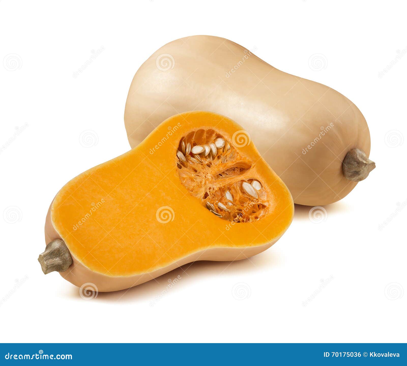 Butternut Pumpkin Composition 2 Isolated on White Background Stock ...