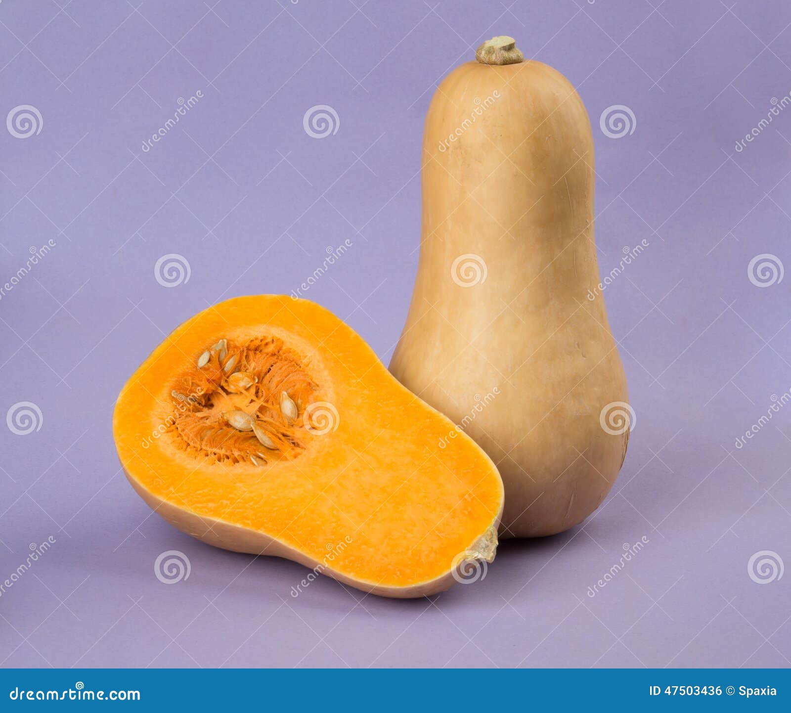 Butternut squash stock photo. Image of vegetarian, food - 47503436