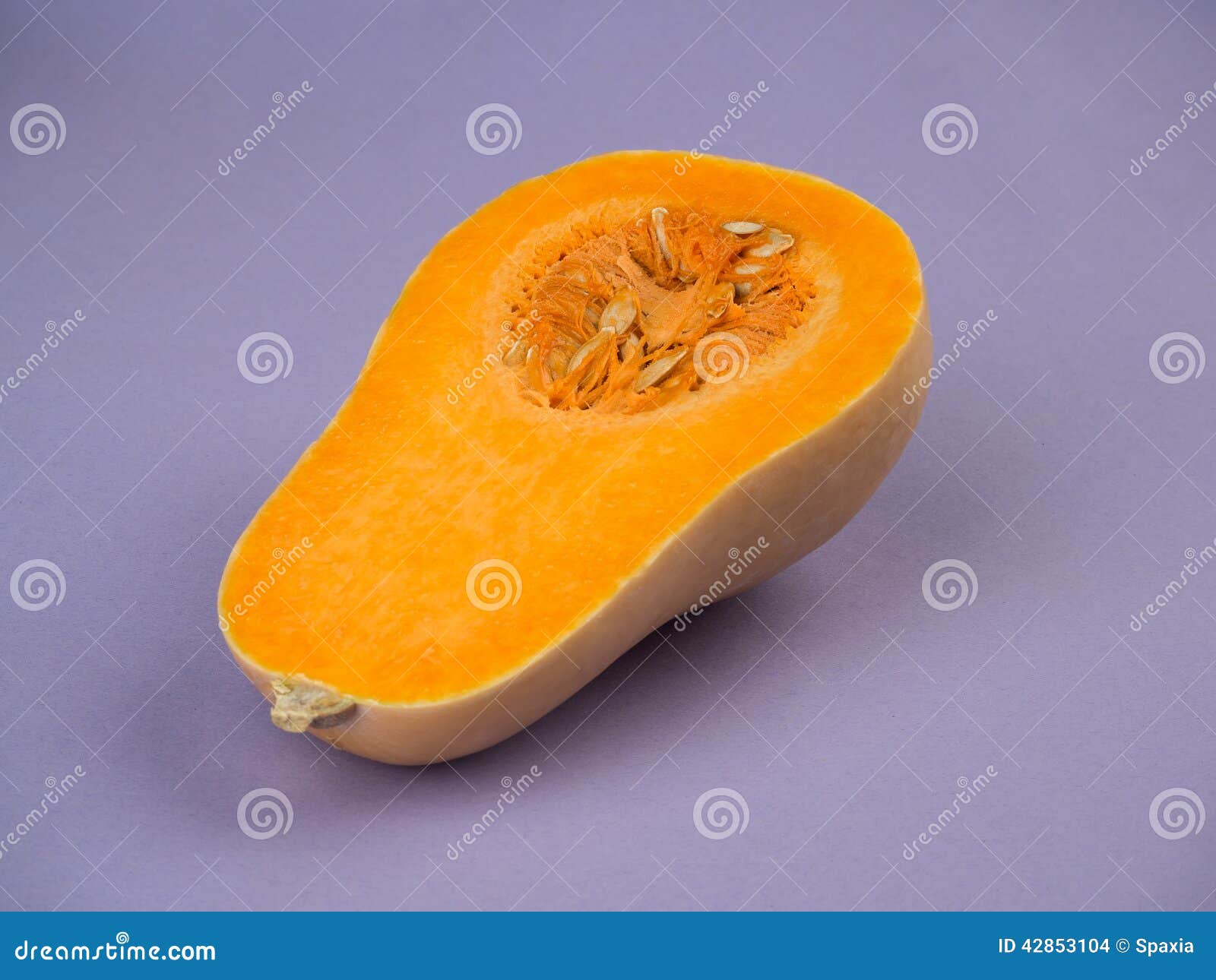 Butternut squash stock photo. Image of ripe, squash, pumpkin - 42853104