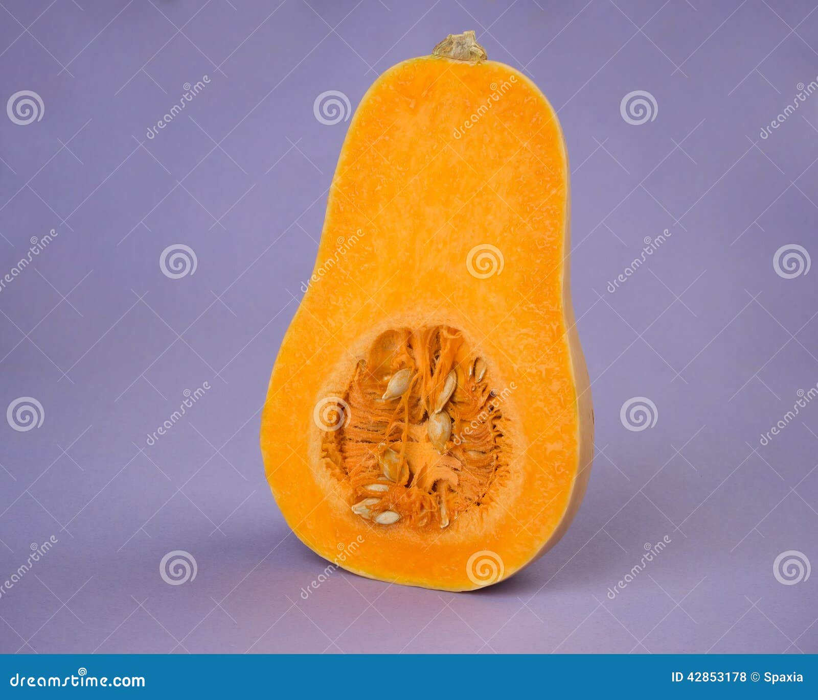 Butternut squash stock photo. Image of health, nutty - 42853178