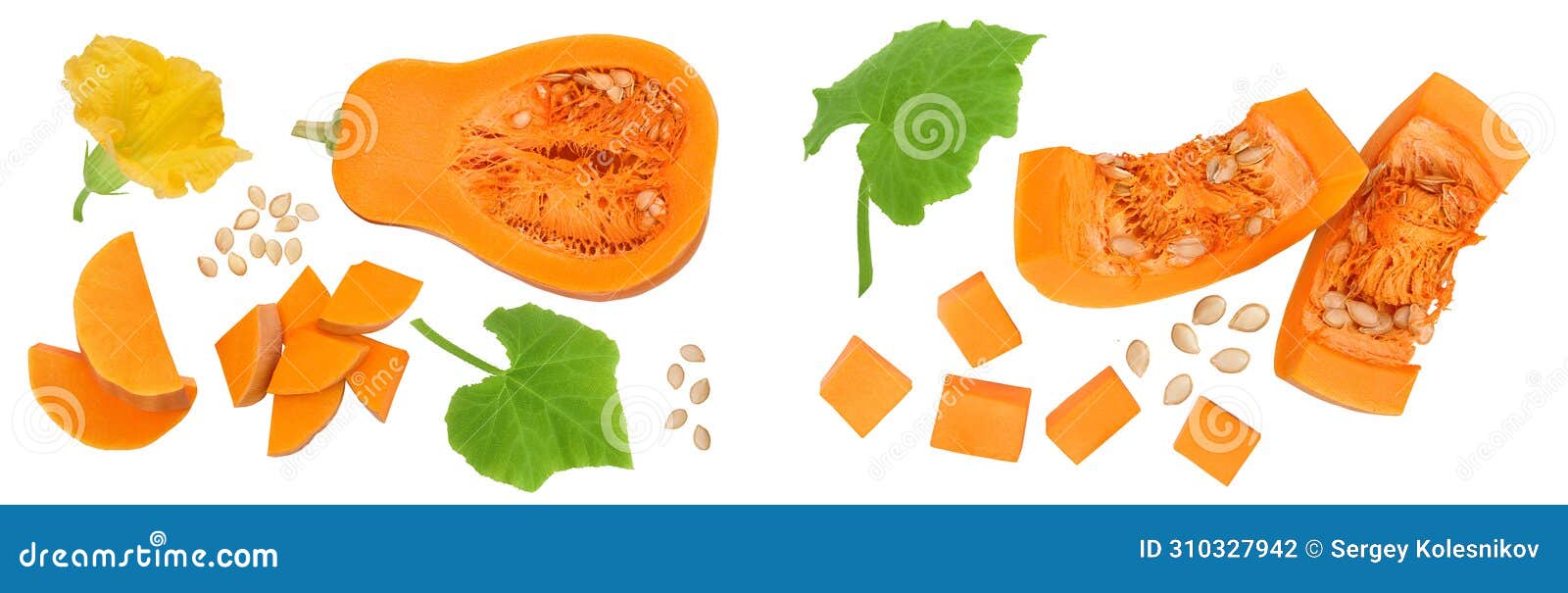Butternut Squash Half Isolated on White Background with Full Depth of ...
