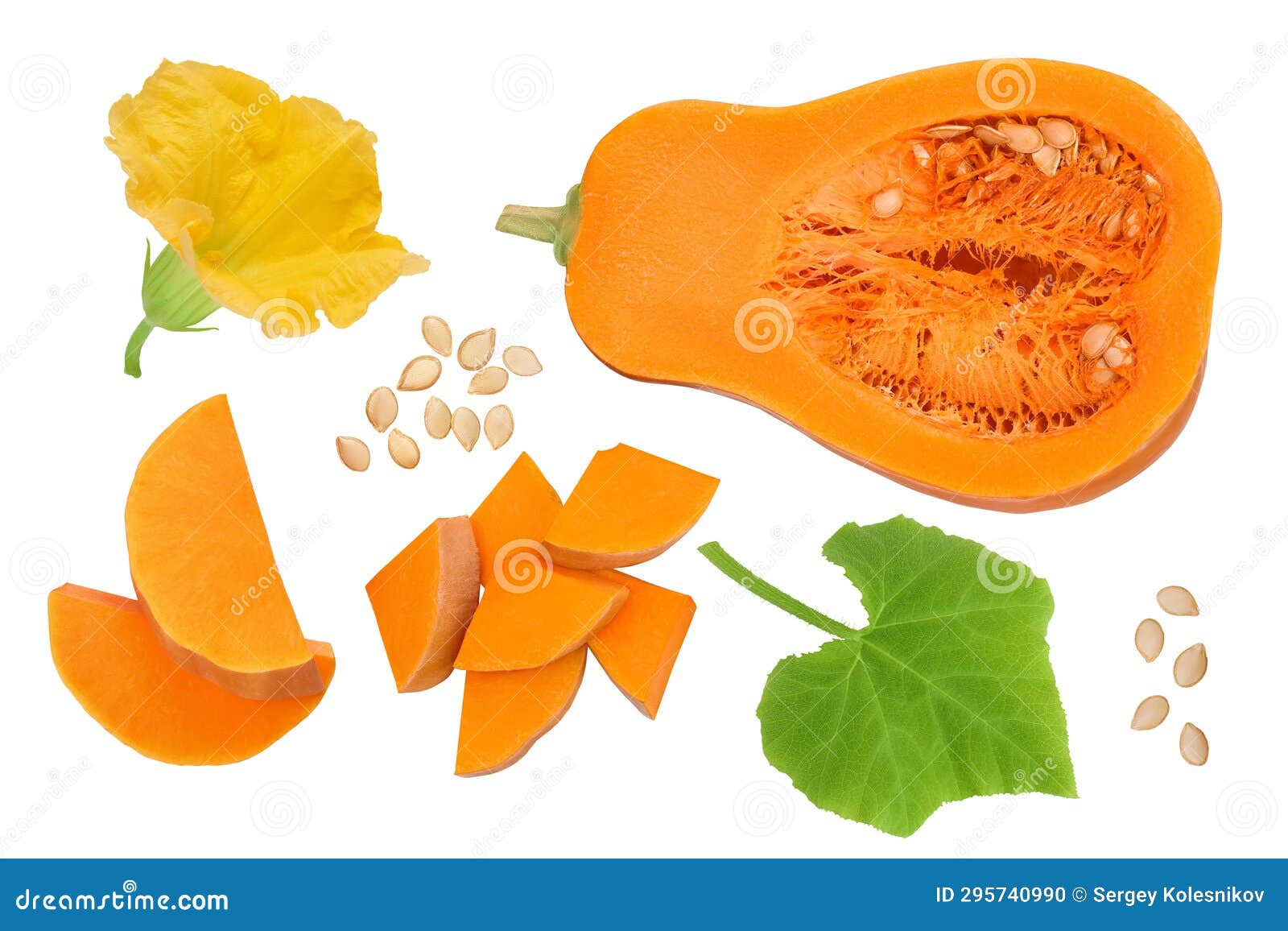 Butternut Squash Half Isolated on White Background with Full Depth of ...