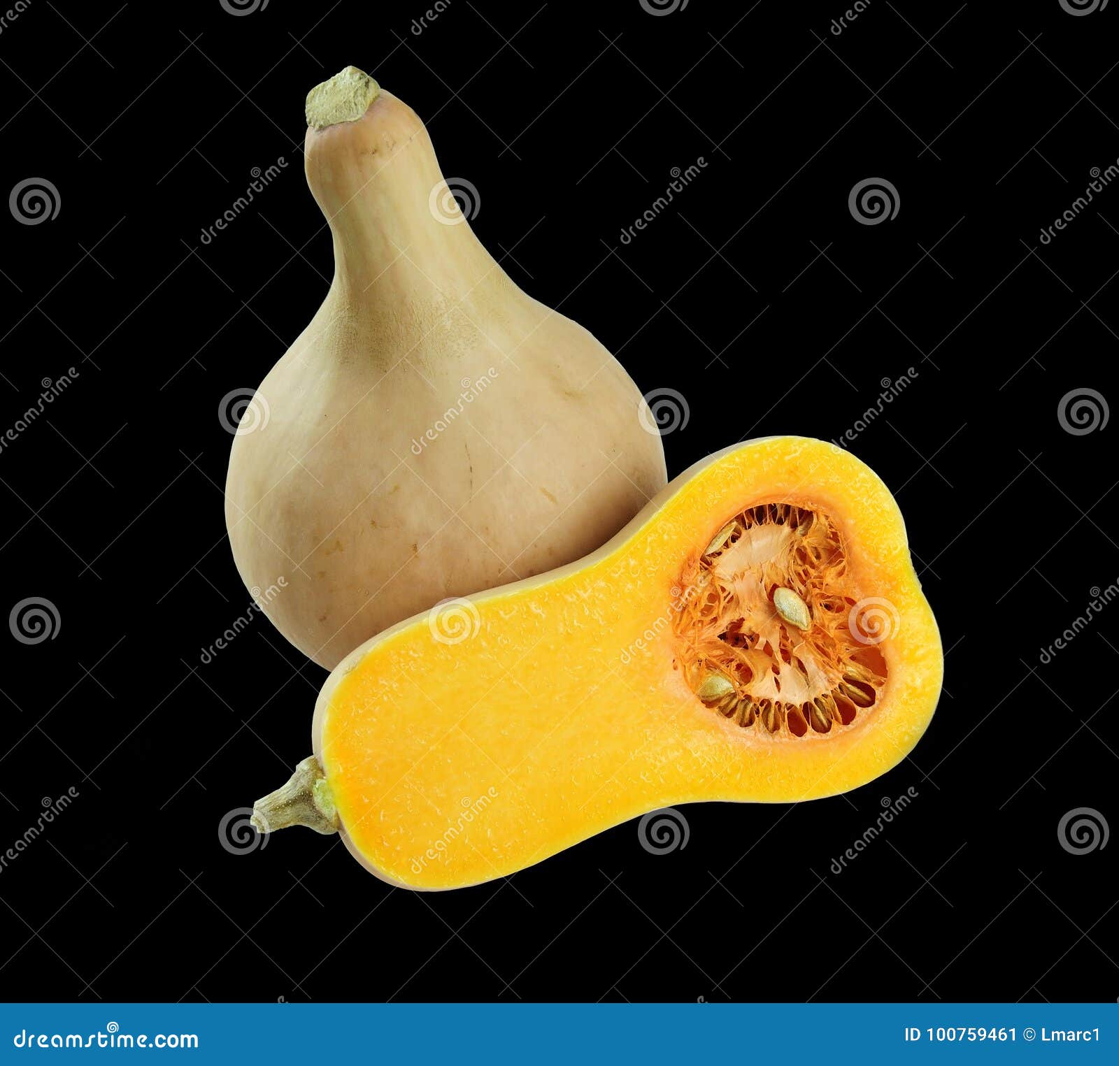 Butternut Squash stock image. Image of isolated, food - 100759461