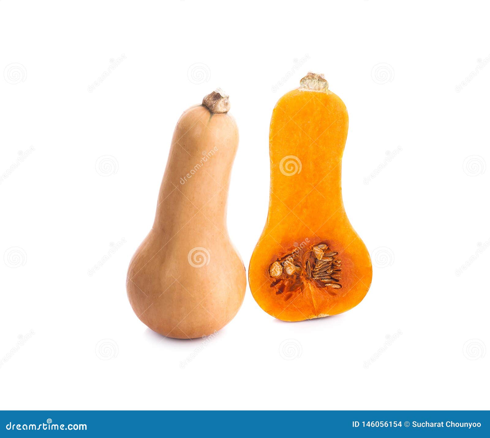 Get White Spots On Butternut Squash Gif - certifiedchiq