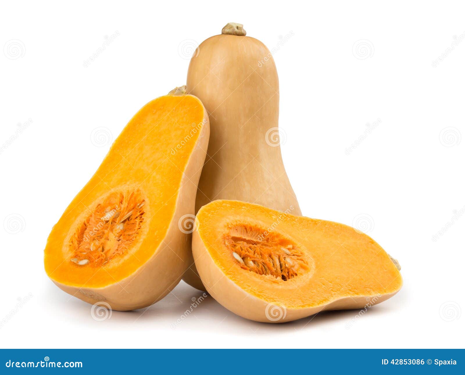 White Squash Stock Photography | CartoonDealer.com #18126146