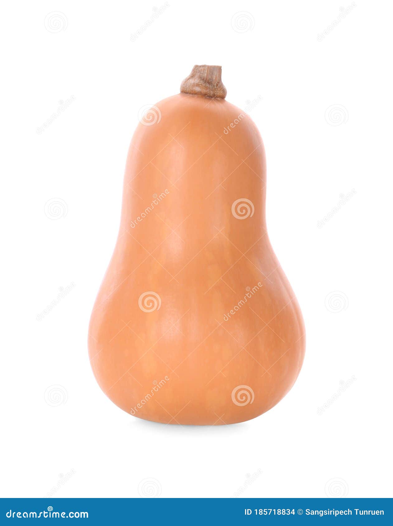 Butternut Squash Isolated on White Background Stock Photo - Image of ...