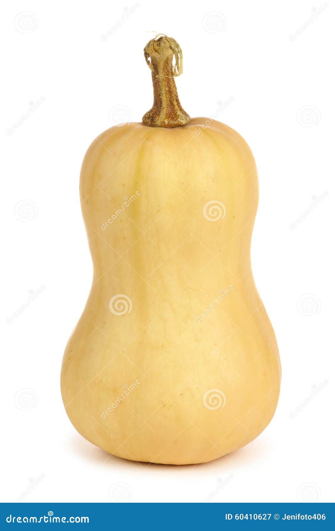 Butternut Squash Isolated on White Stock Image - Image of sweet ...