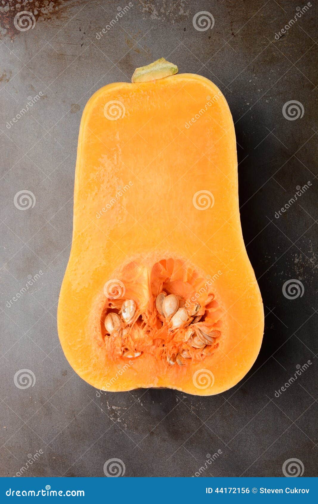 Butternut Squash stock photo. Image of squash, seeds - 44172156