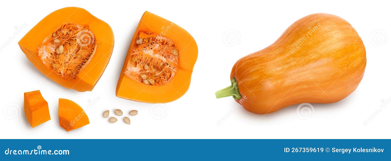 Butternut Squash Slice Isolated on White Background with Full Depth of ...
