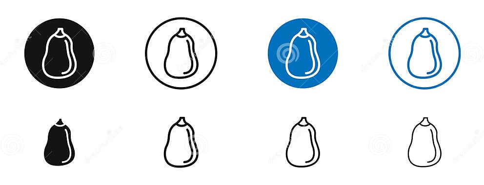 Butternut Squash Thin Line Vector Icon Set Stock Vector - Illustration ...