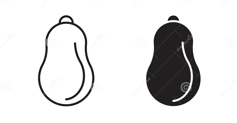 Butternut Squash Thin Line Vector Icon Set Stock Vector - Illustration ...