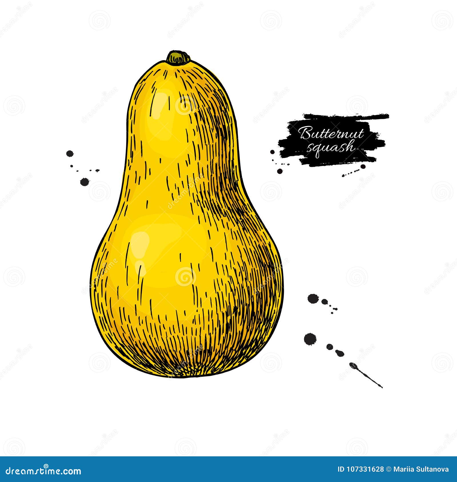 Butternut Squash Cartoon Character With Love Cute Emoticon Vector ...