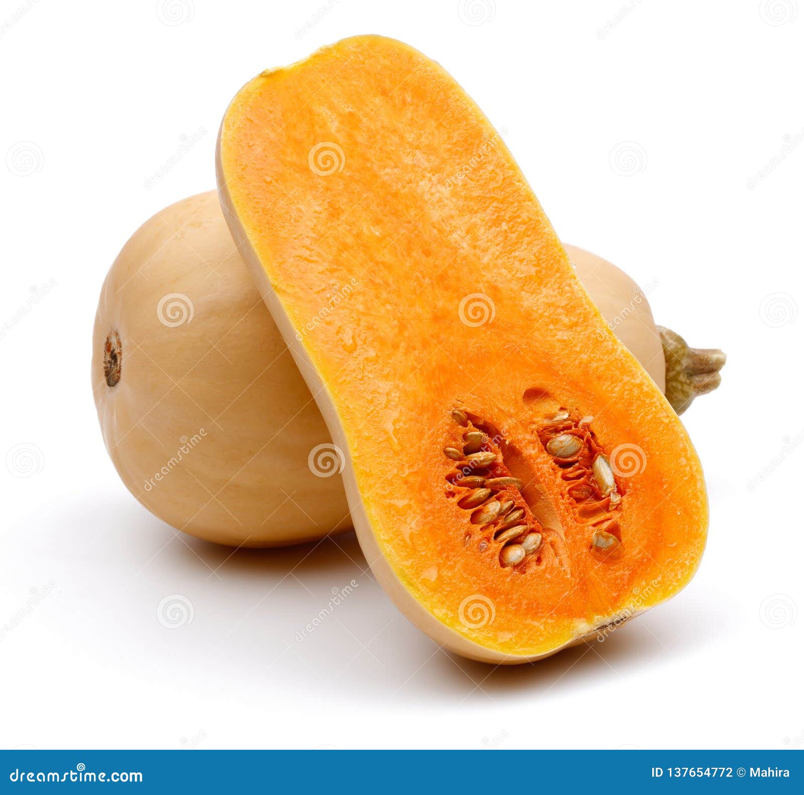 Butternut Squash on White Background Stock Photo - Image of diet ...