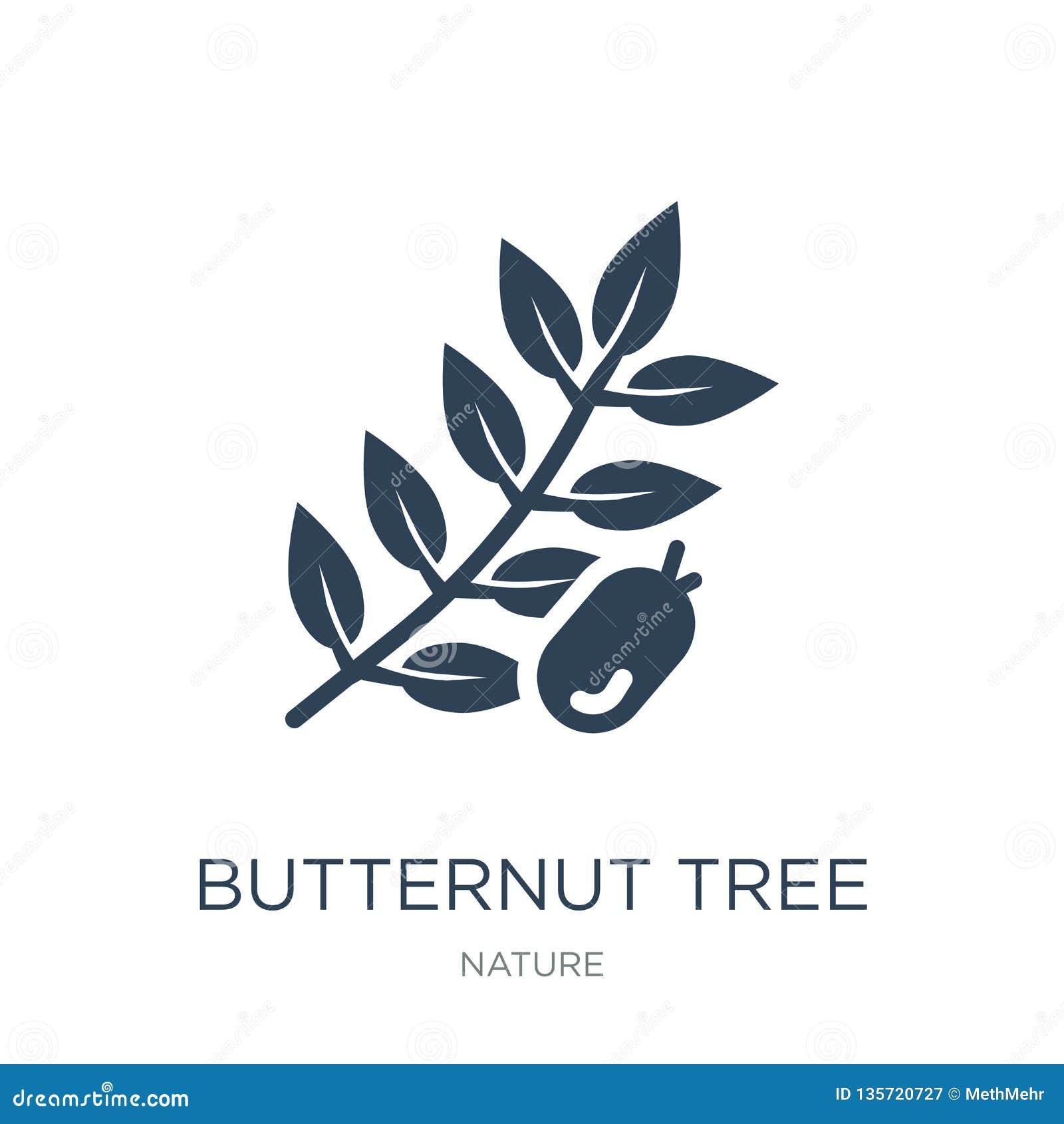 Butternut Tree Icon Vector Sign And Symbol Isolated On White Background ...