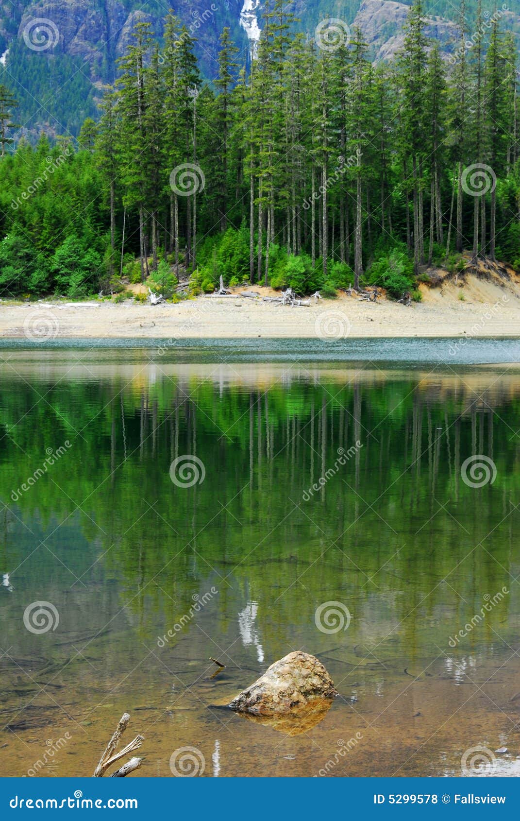 Buttle lake and forest stock photo. Image of british, hillside - 5299578