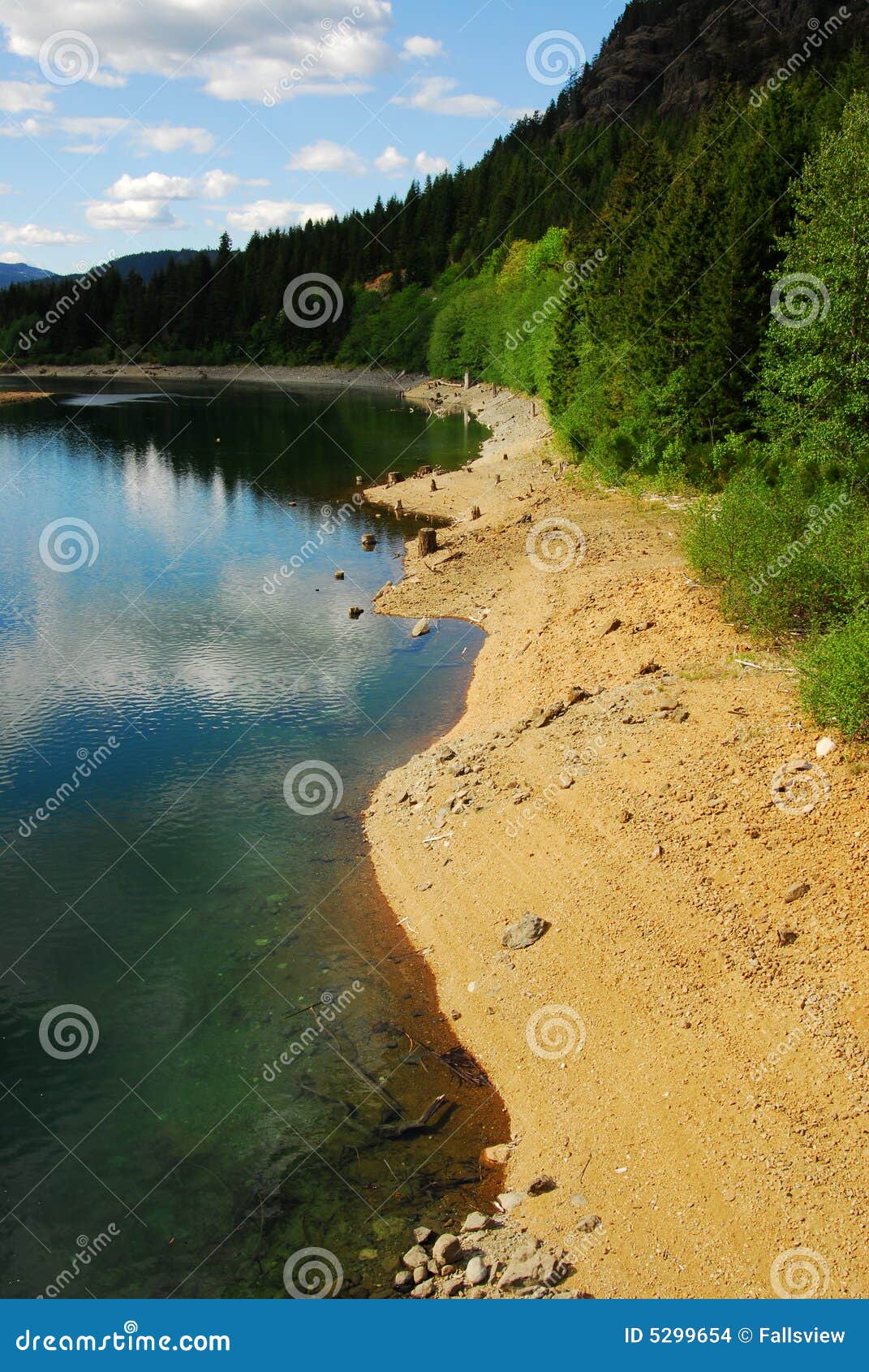 Buttle lake shore stock photo. Image of sand, mountain - 5299654