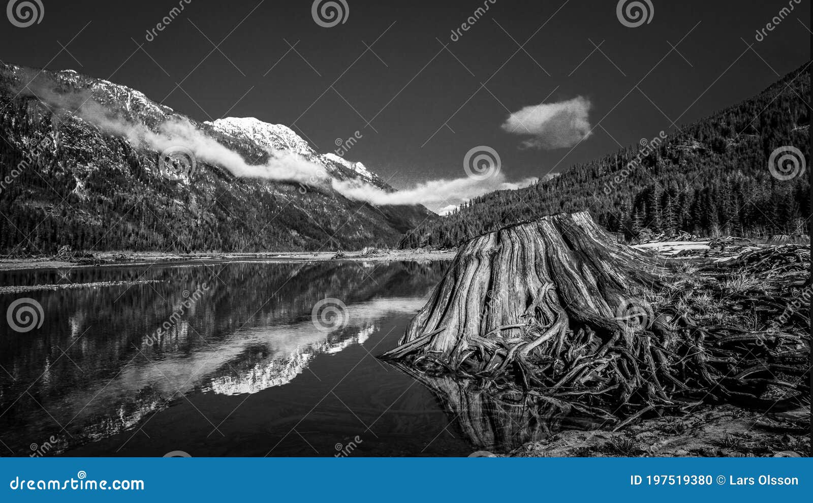 Buttle Lake, Strathcona Provincial Park, Campbell River, British Stock ...