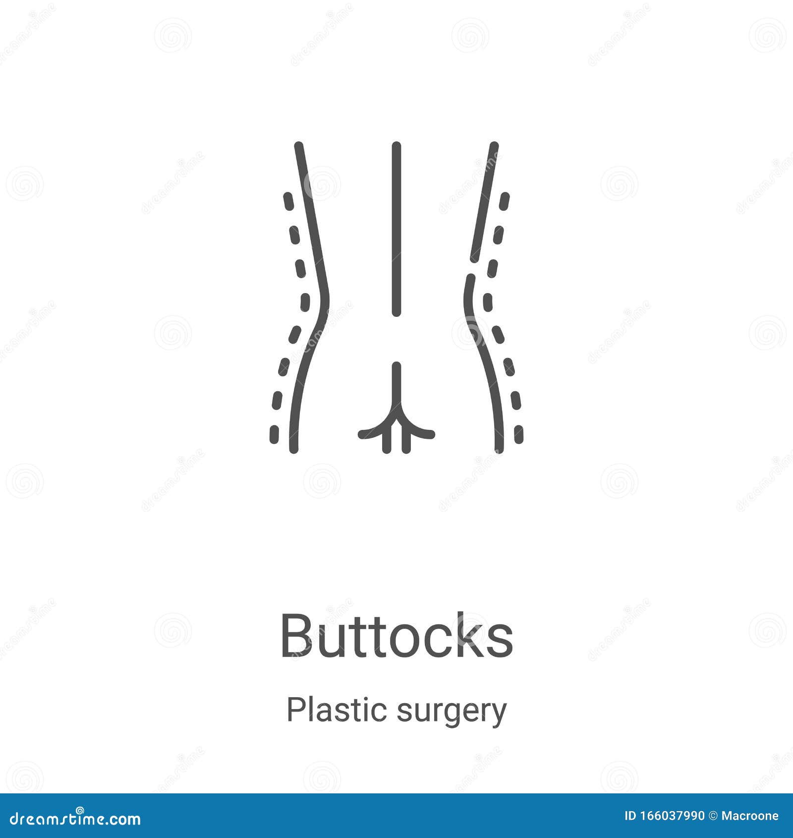 Buttocks Icon Vector From Human Organ Collection. Thin Line Buttocks ...