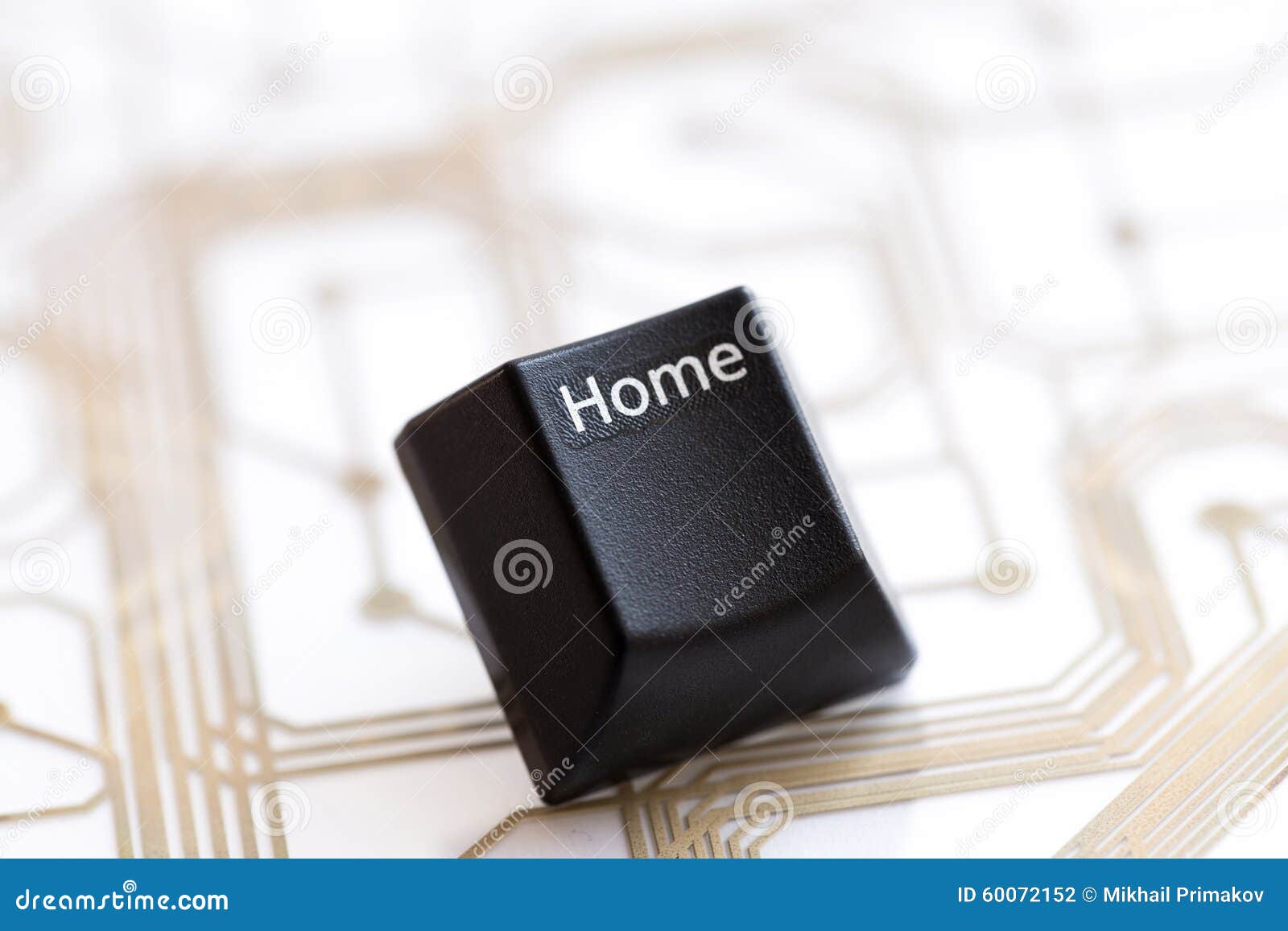Button home stock photo. Image of business, background - 60072152