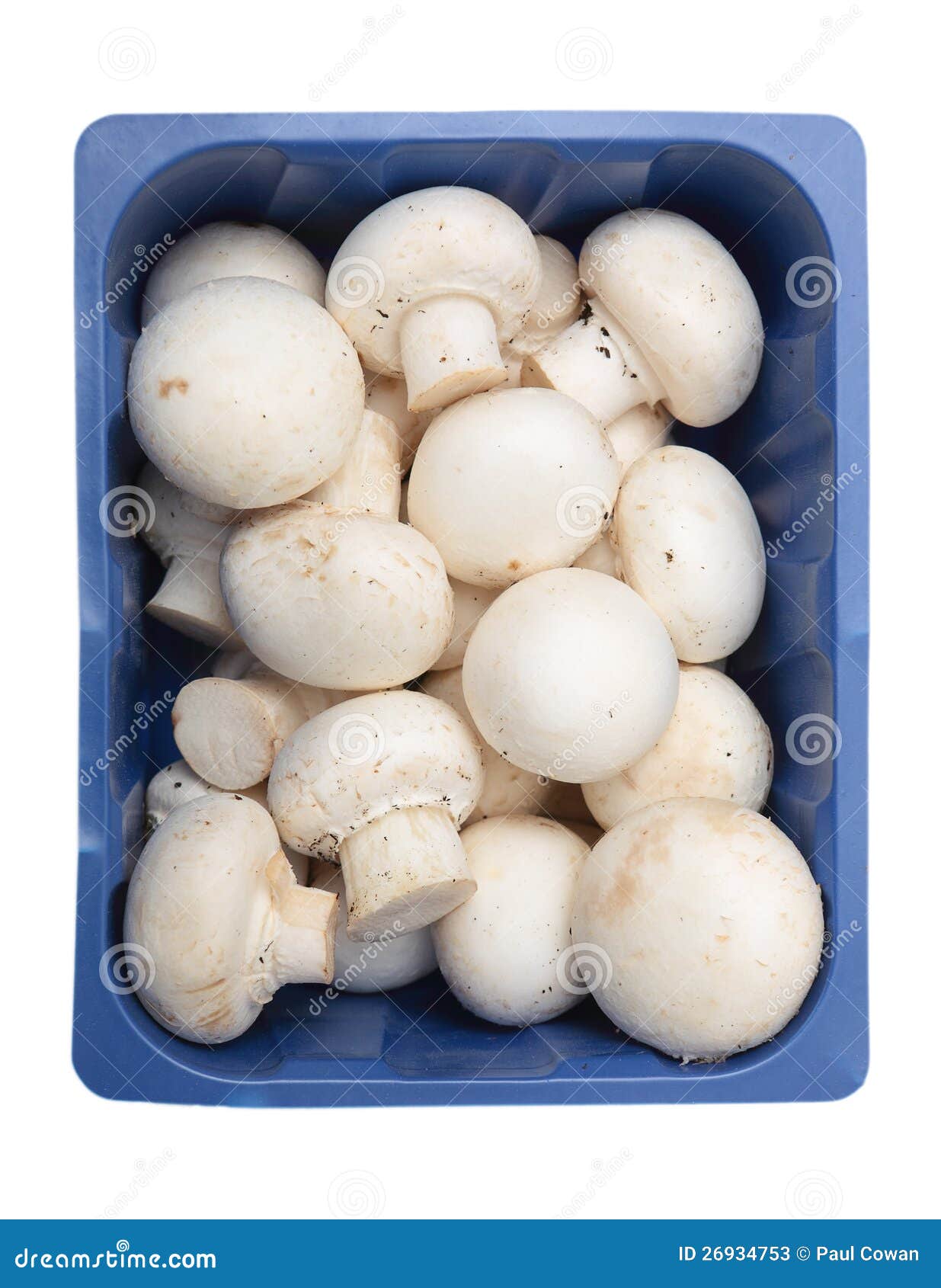 Button mushroom from above stock image. Image of cookery - 26934753