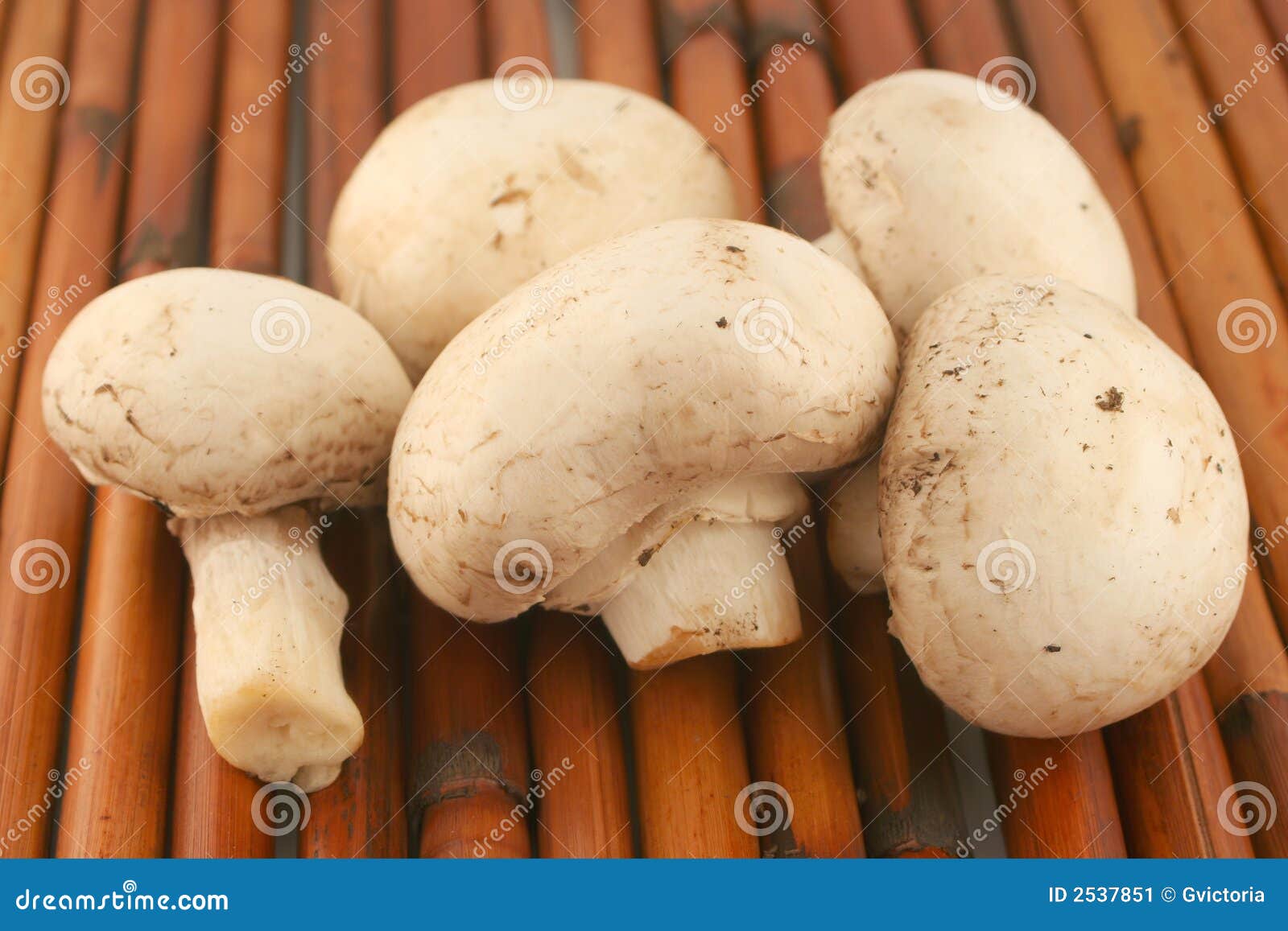 142 Button Mushroom Stems Stock Photos - Free & Royalty-Free Stock ...