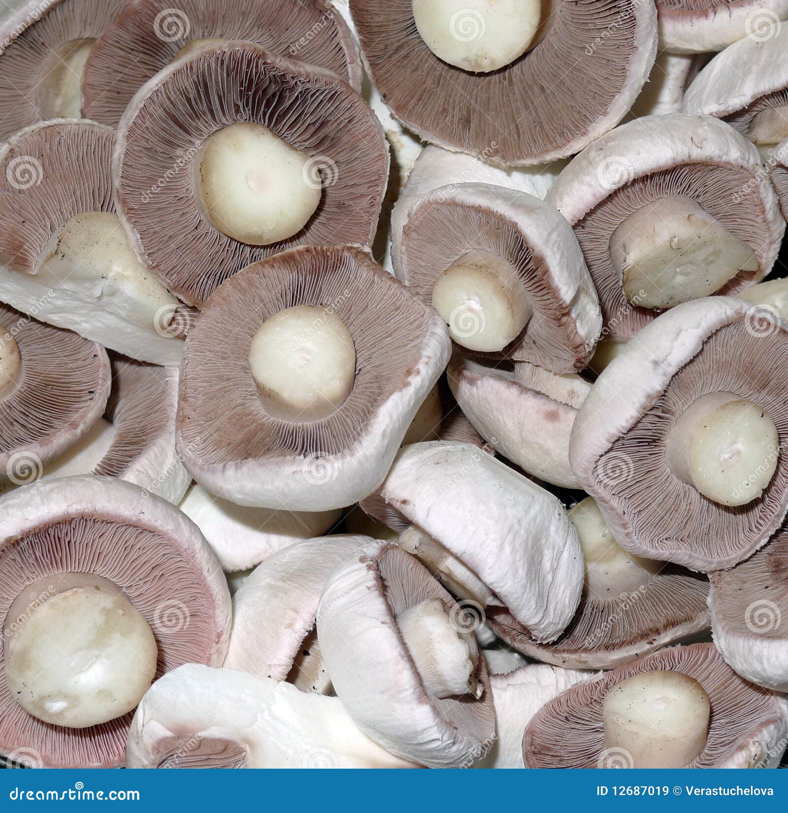 Button mushrooms stock image. Image of market, grow, garden - 12687019