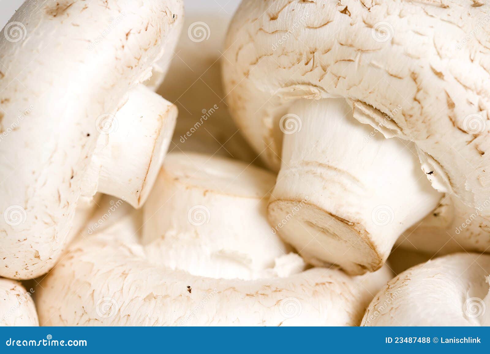 Button mushrooms stock photo. Image of ingredient, vegetable - 23487488