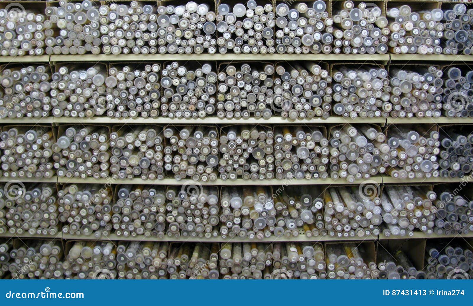 Large Selection of Buttons in Display Tubes on Store Shelves Stock ...