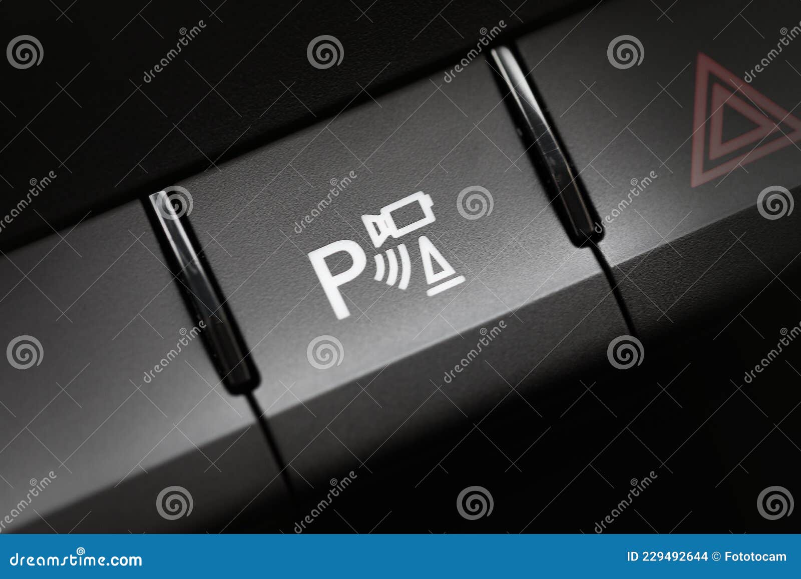 Button for Turning on the Rear View Camera in the Car Parking ...