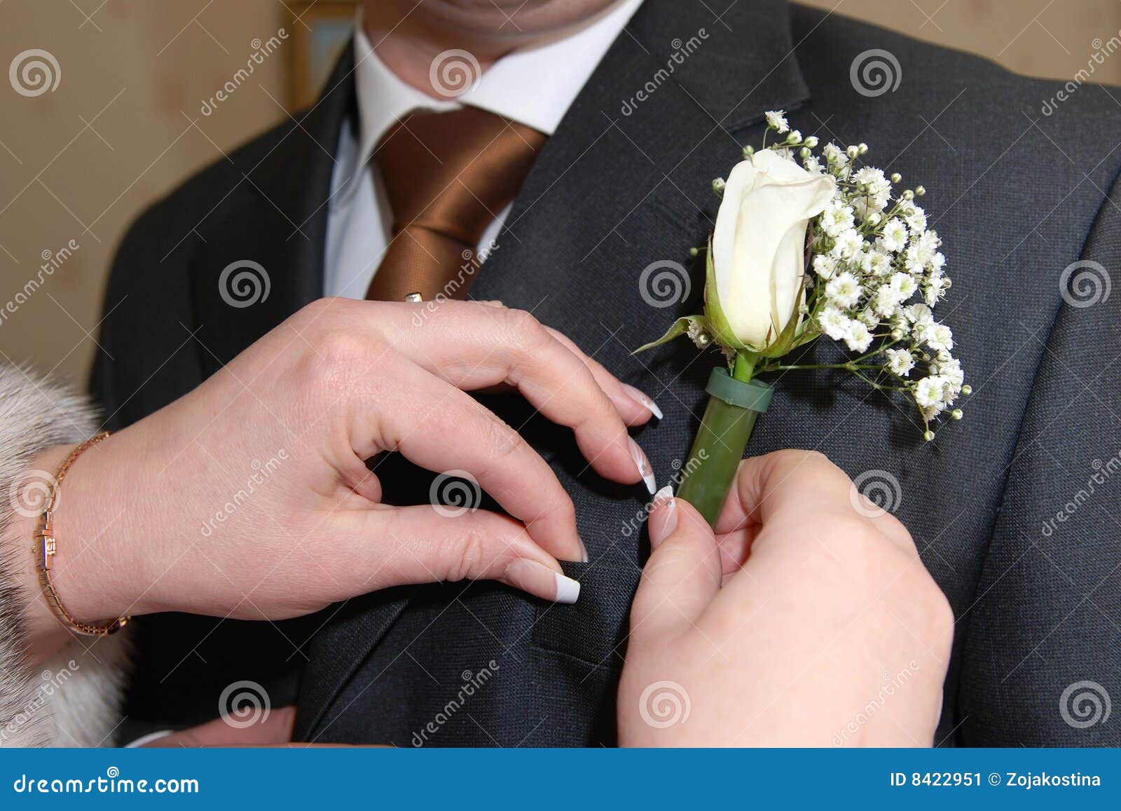 A Buttonhole Royalty-Free Stock Photo | CartoonDealer.com #30004941