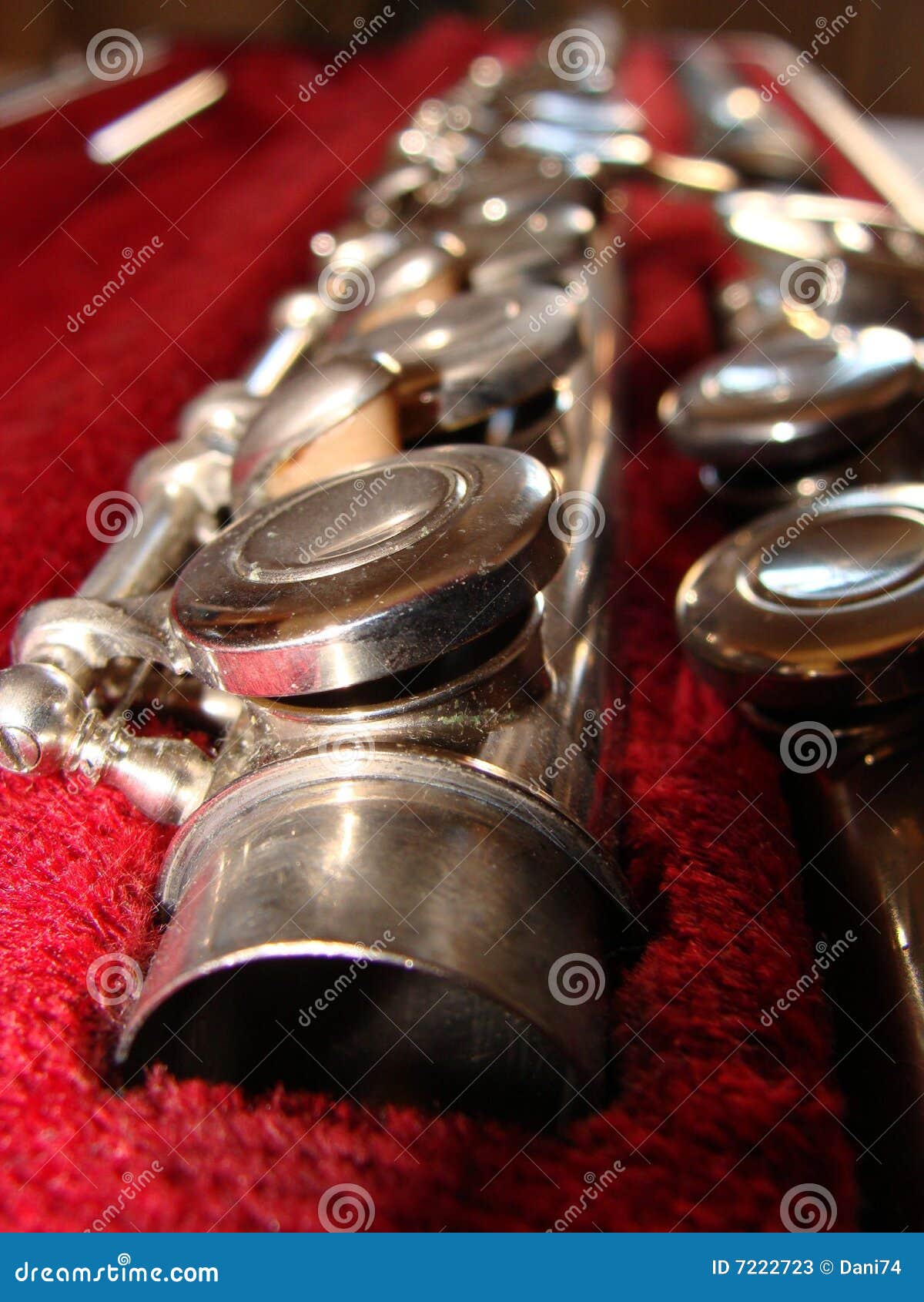 Buttons on the flute stock image. Image of case, flutist - 7222723