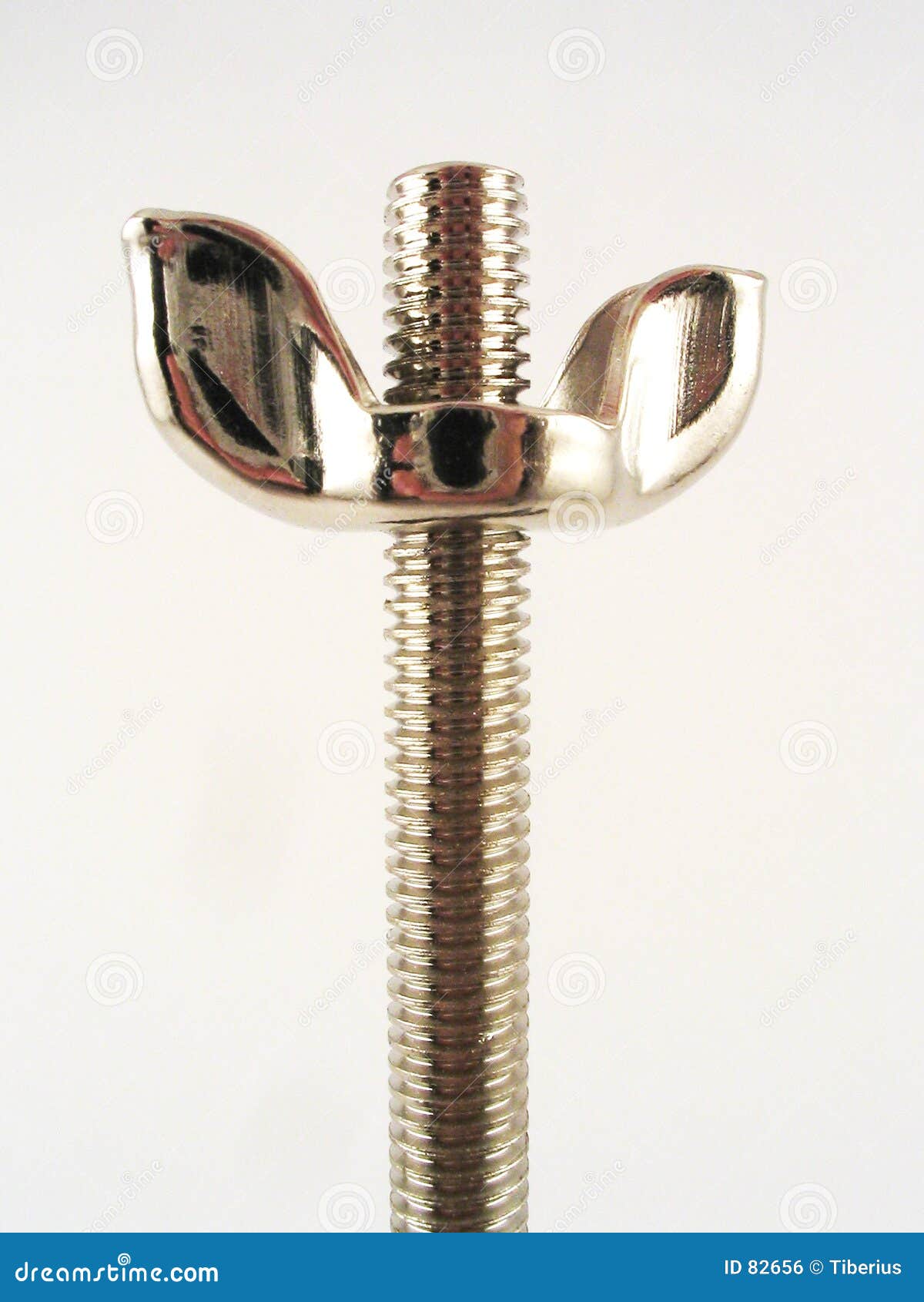 Buttrefly Picture. Image: 82656