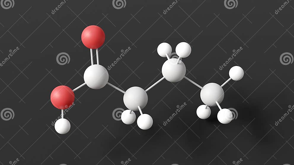 Butyric Acid Molecule Molecular Structure Butanoic Acid Ball And Stick 3d Model Structural
