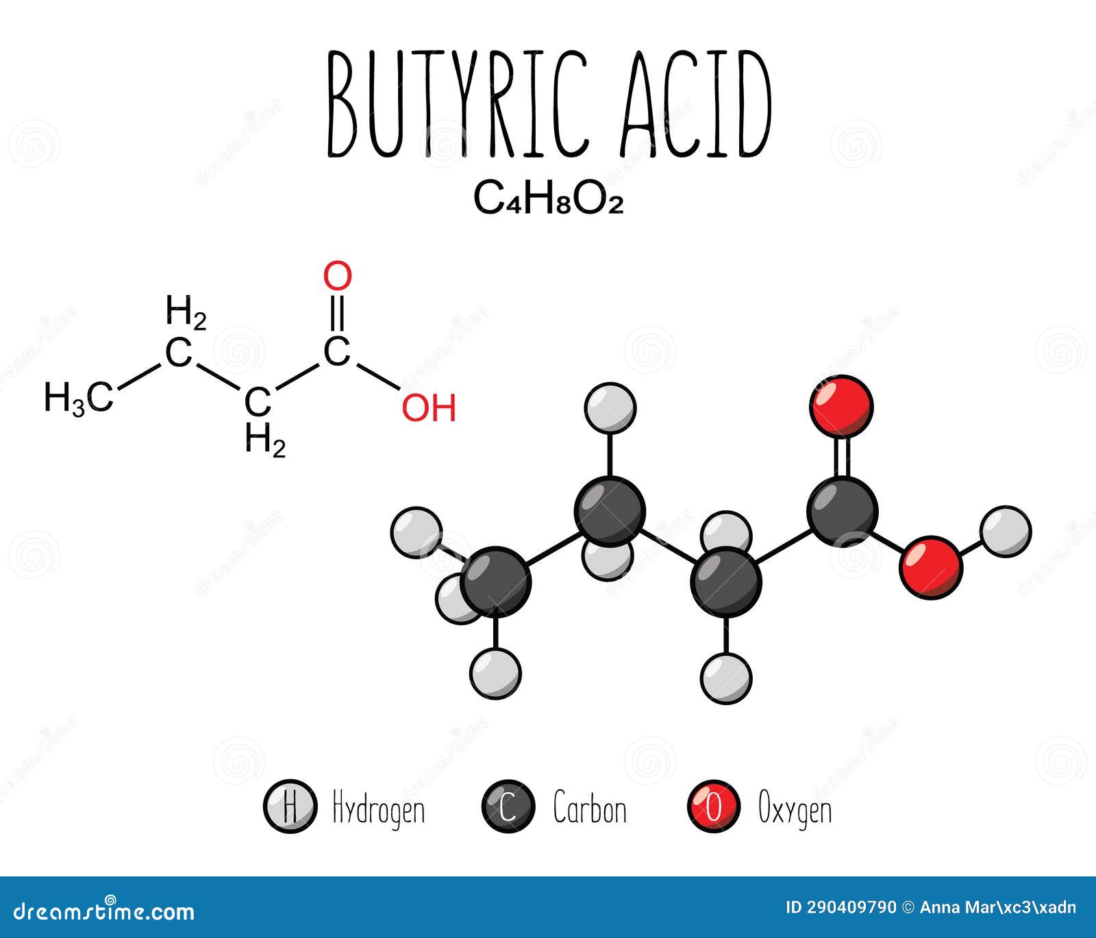 Butyric Acid Molecule Structural Chemical Formula Ball And Stick Model Isolated Image