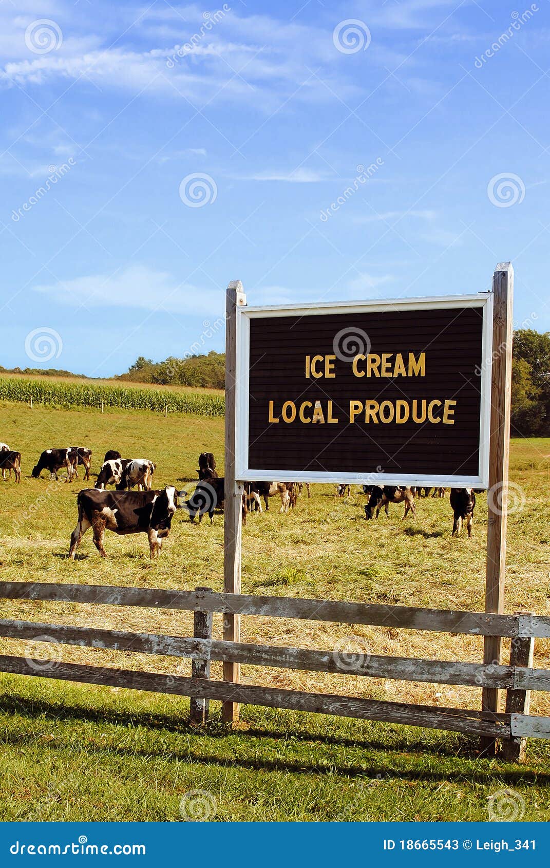 Buy Local stock image. Image of nature, colorful, local - 18665543