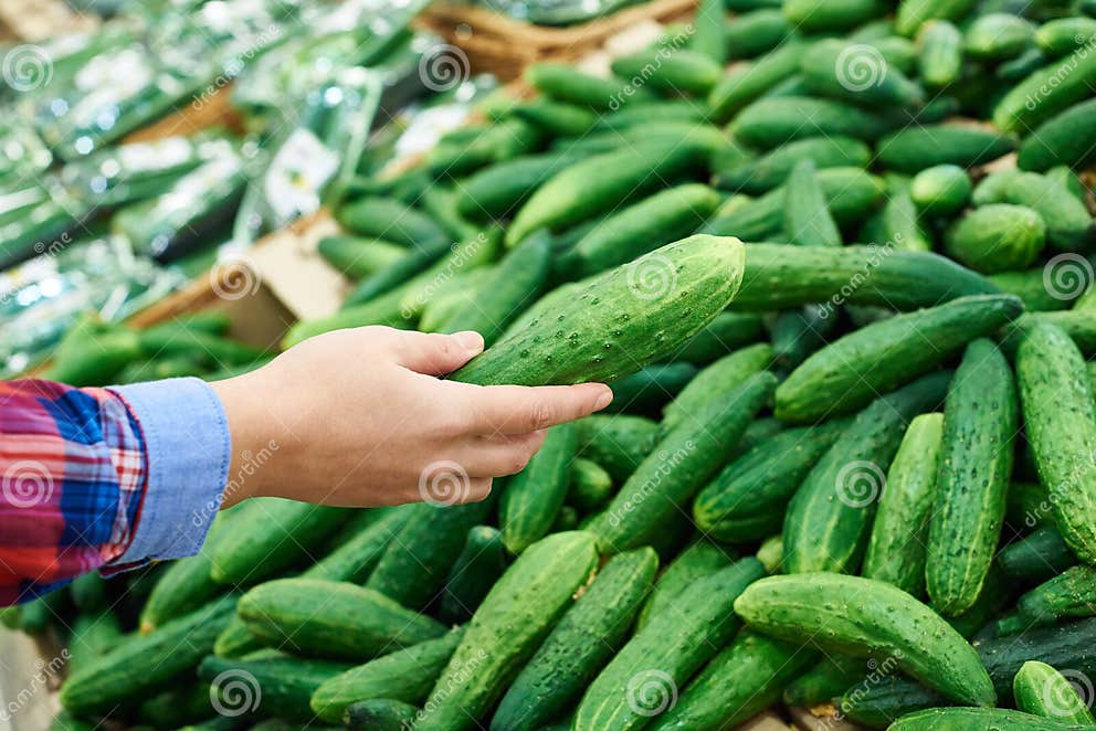 Buyer Selects Cucumber in Store Stock Photo - Image of packaging ...