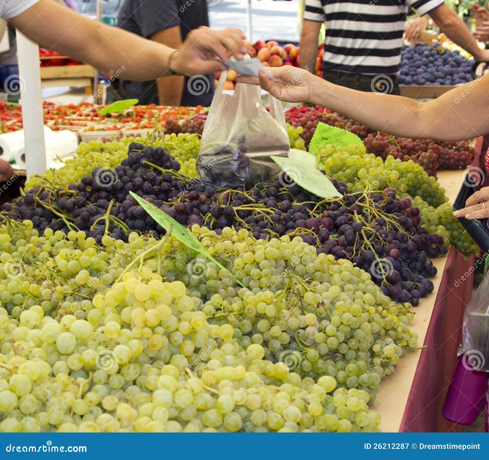 Buying Fresh Grape on Sunny Market Stock Image - Image of branch, woman ...