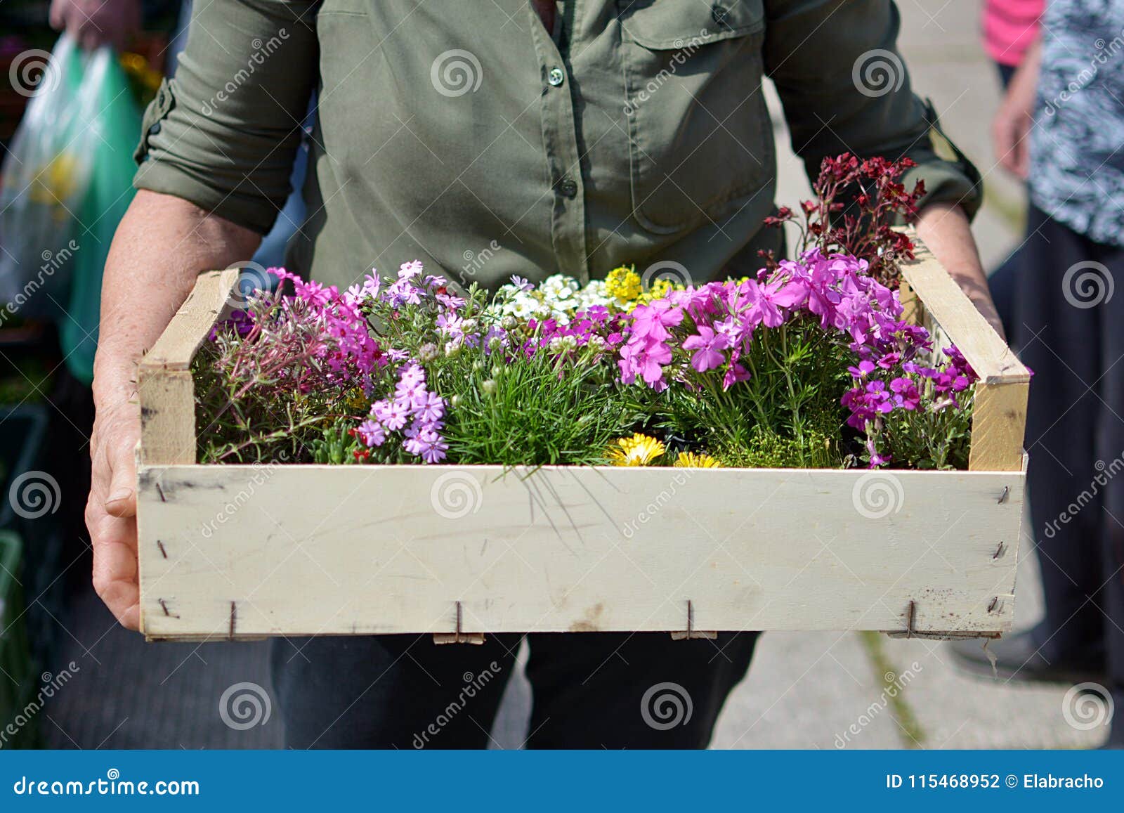 Buying spring flowers stock photo. Image of souk, cash - 115468952