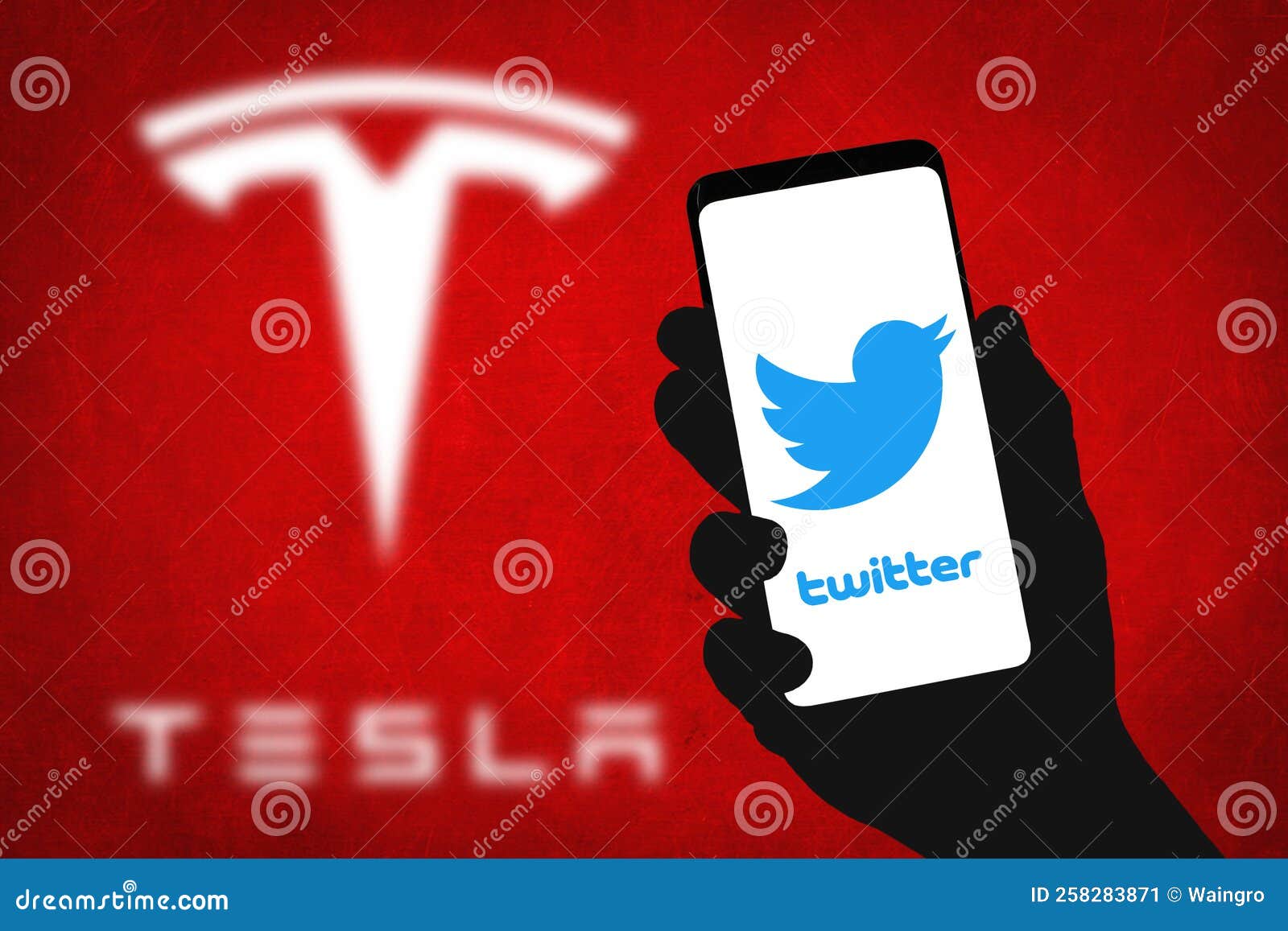 Buyout of Twitter by Tesla CEO Editorial Photo - Image of company ...