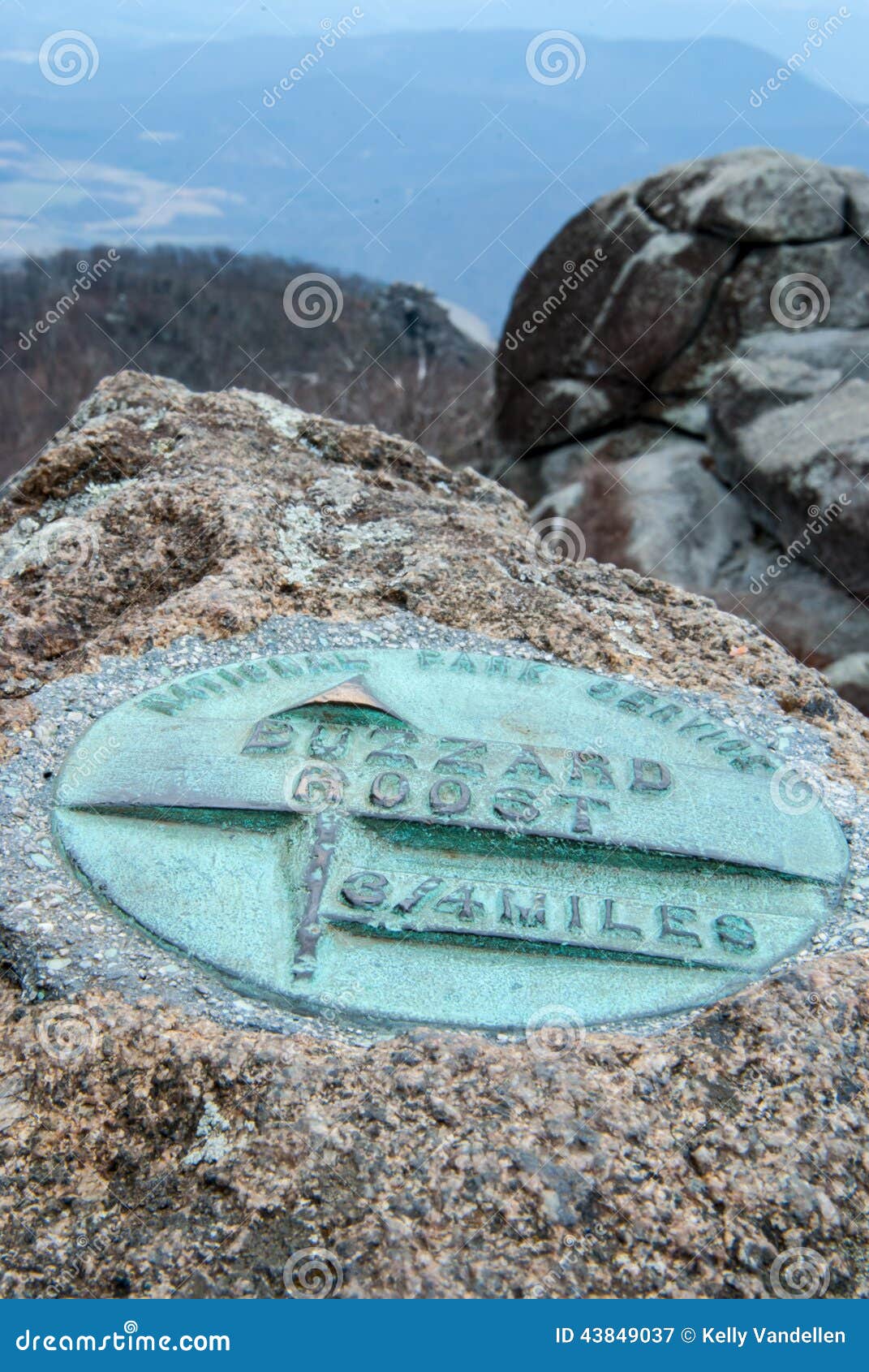 Buzzard Roost Sign stock image. Image of blue, portrait - 43849037