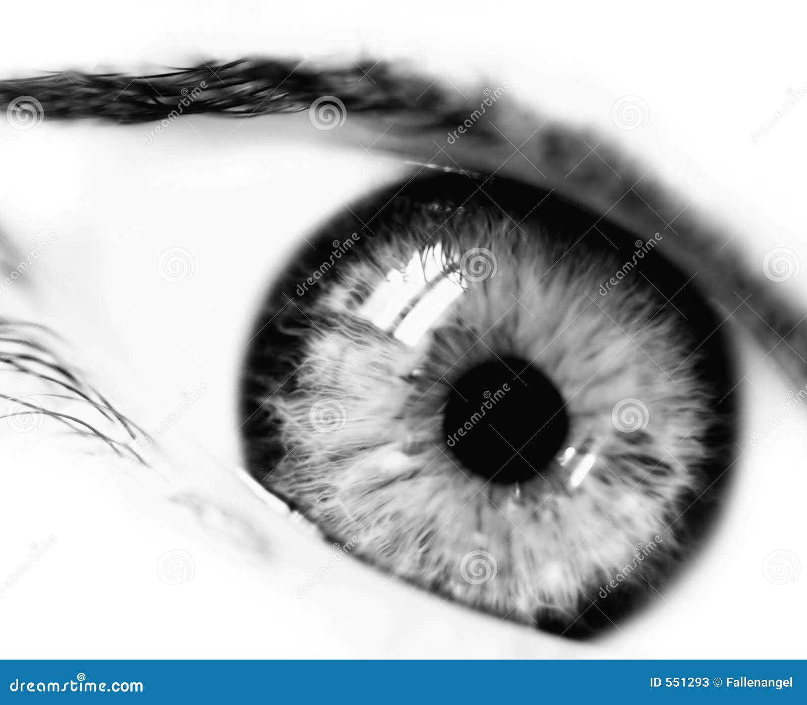 BW emotional eye stock image. Image of pupil, ball, eyebrow - 551293